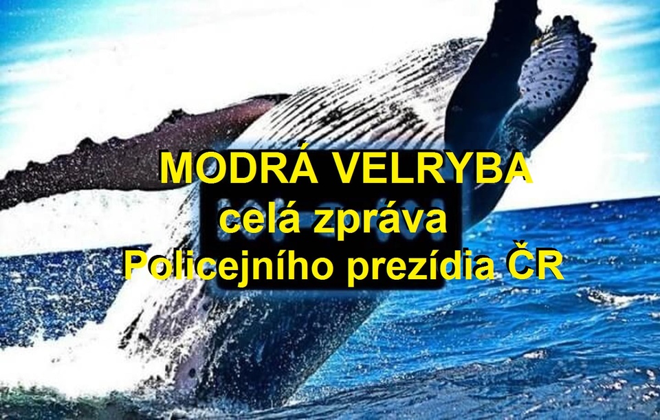 Modrá velryba - Policie ČR varuje | Krimi Plzeň